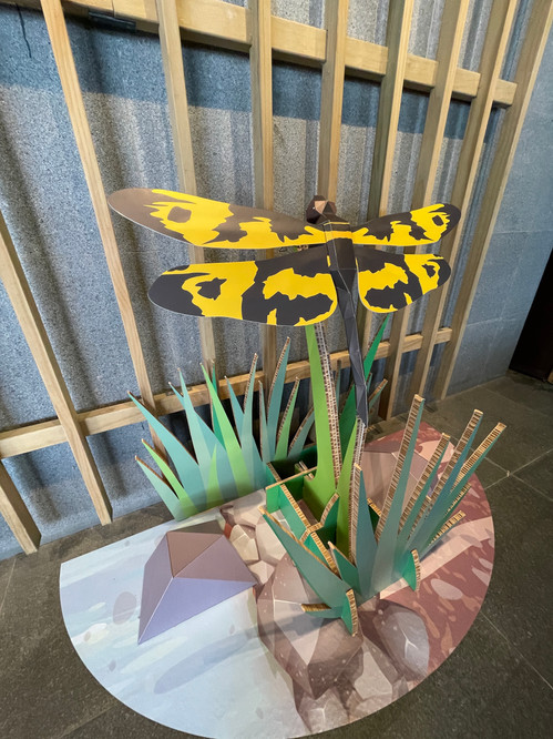 Hong Kong Wetland Park | Geometric Cardboard Models | Arteco Production