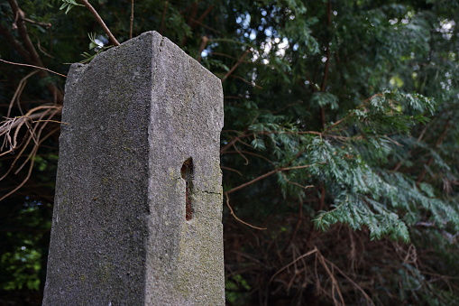 Bramon | Business Expansion