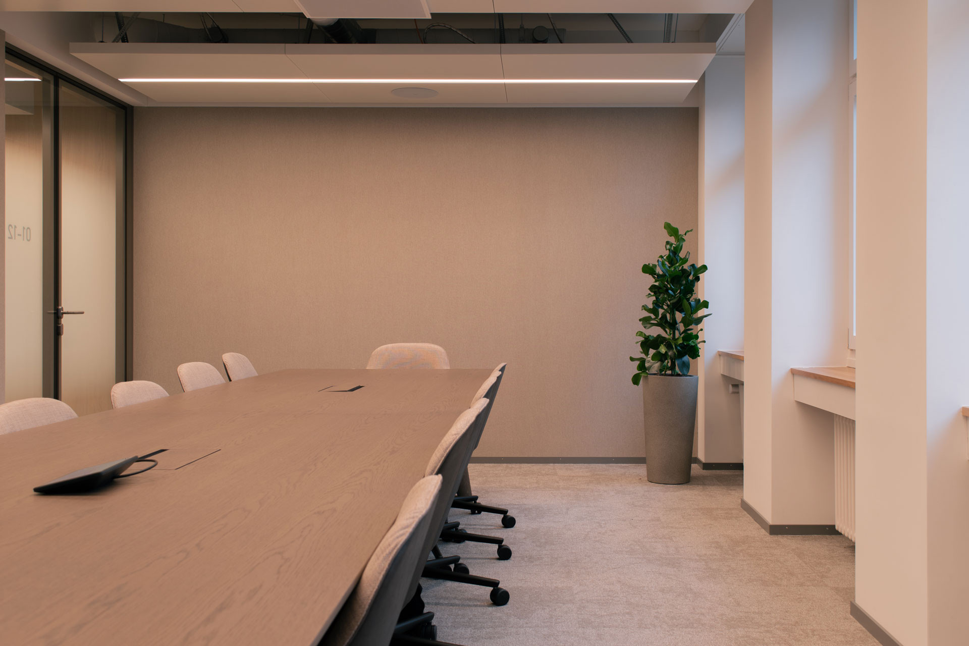 Clusia rosea 'Princess'