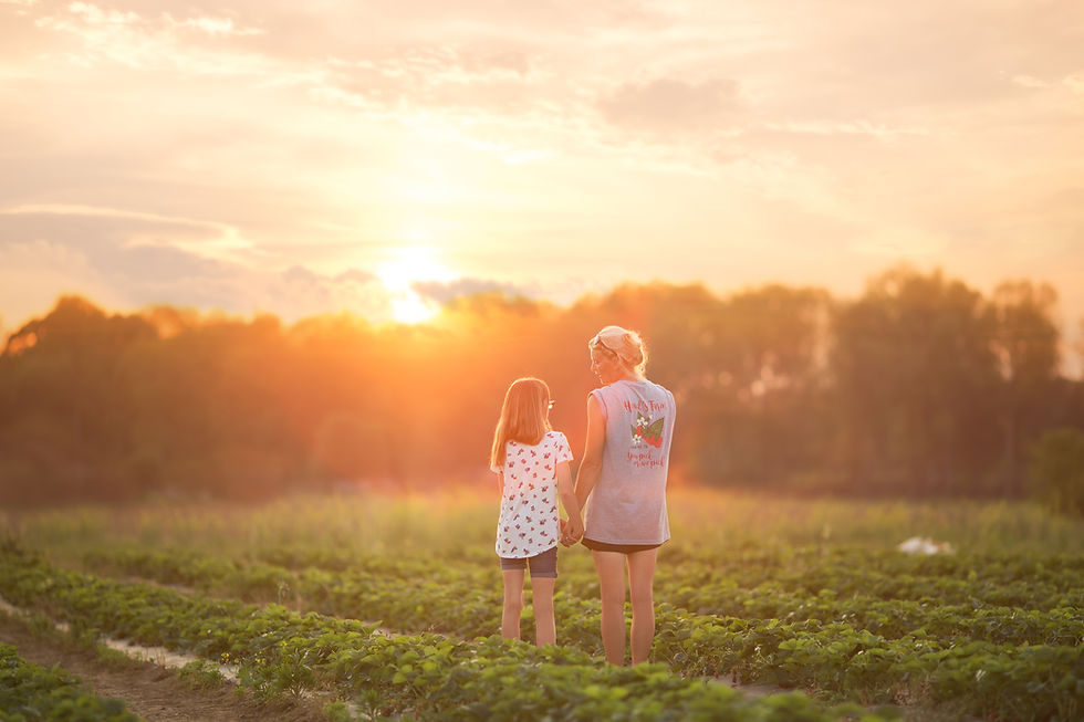 Head's Farm | Farm Store | Head's Farm, Kinneys Road, Cedar Hill, TN, USA