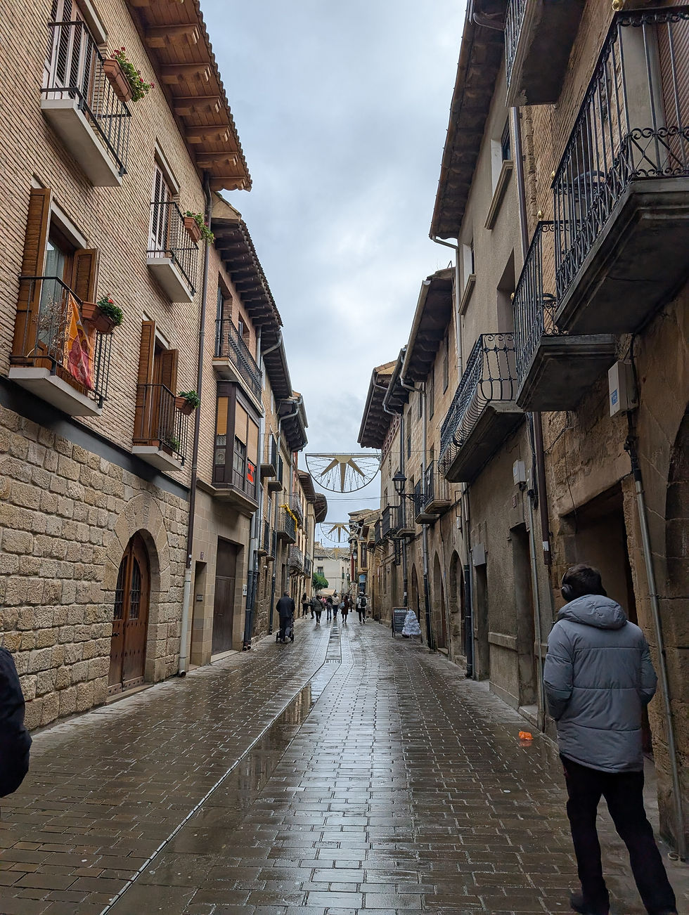 7 Reasons to Visit Olite Spain, A Charming Medieval Wine Town