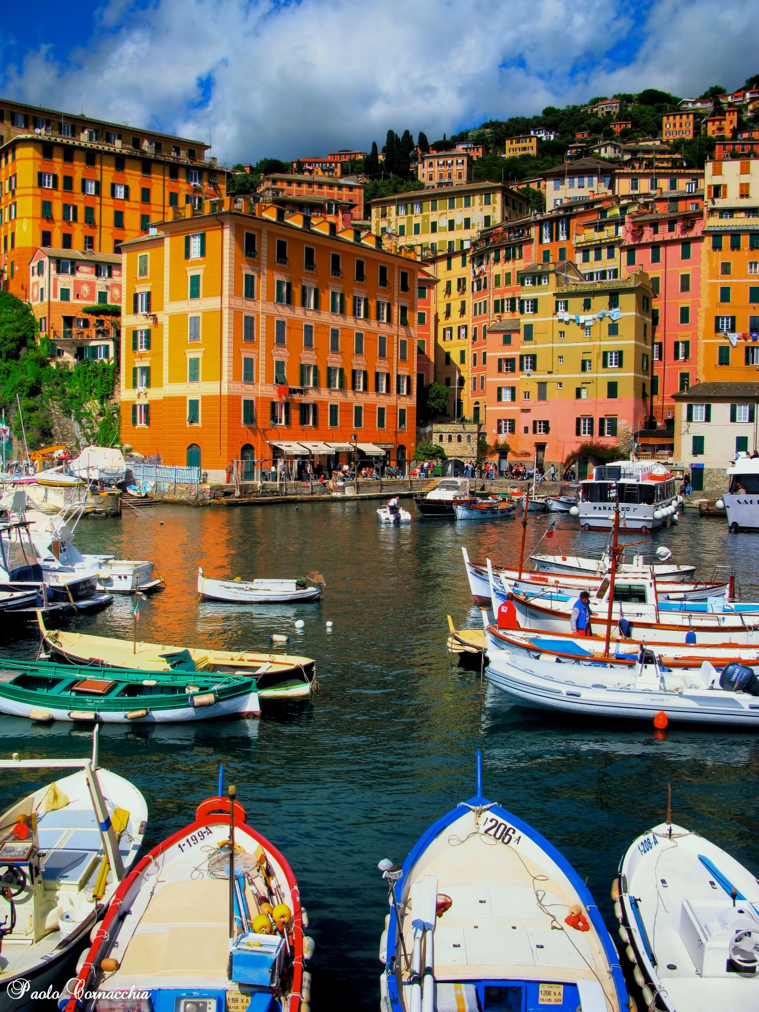 Genoa Italy Tour-Experience the amazing Riviera and its fishermen's ...