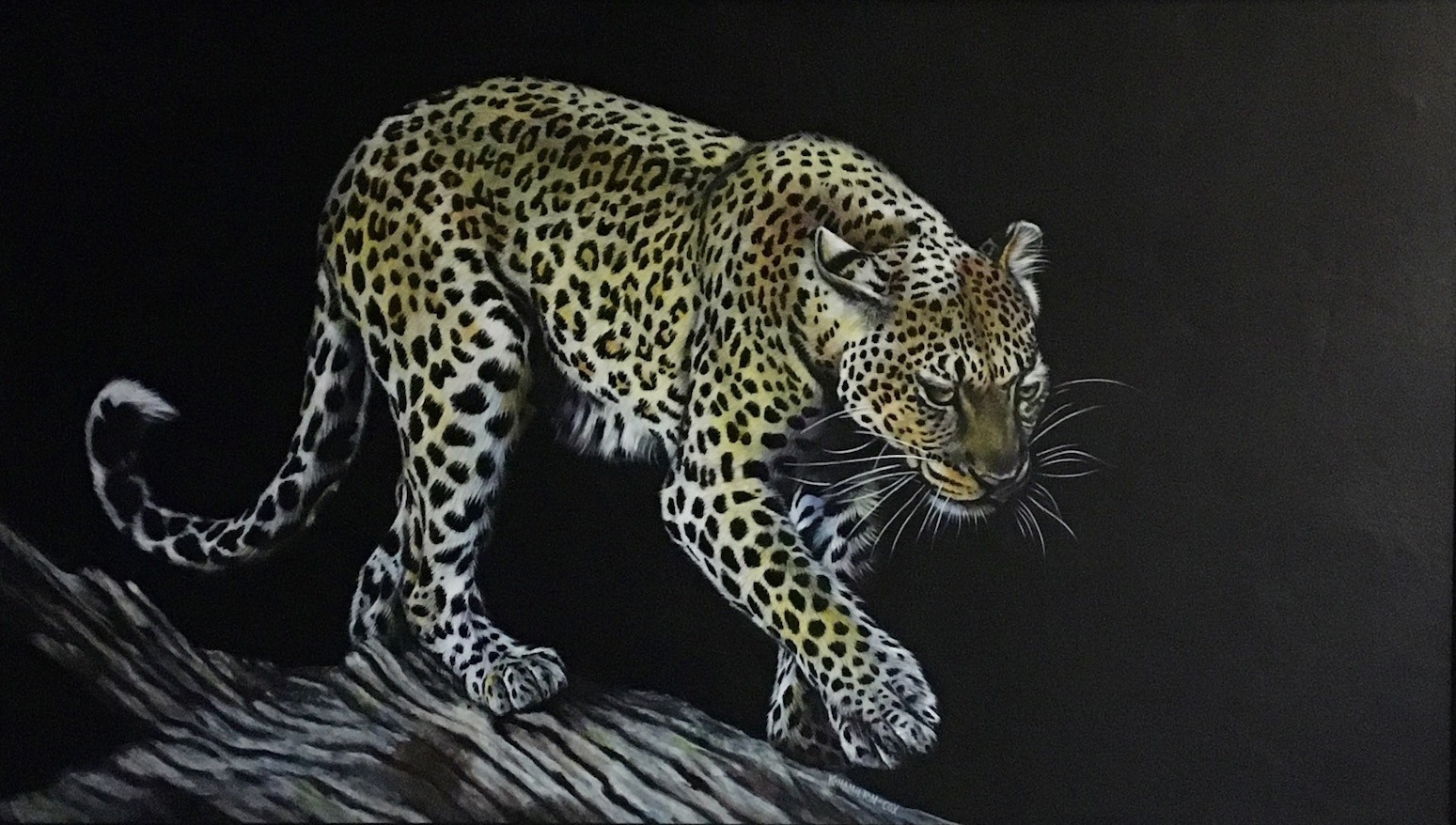 Artist Karl Hand Painted Art on Leather