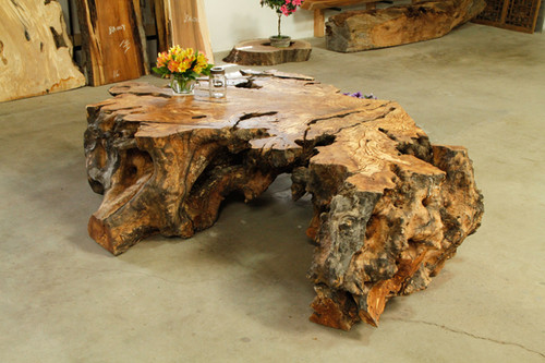Olive Root Coffee Table