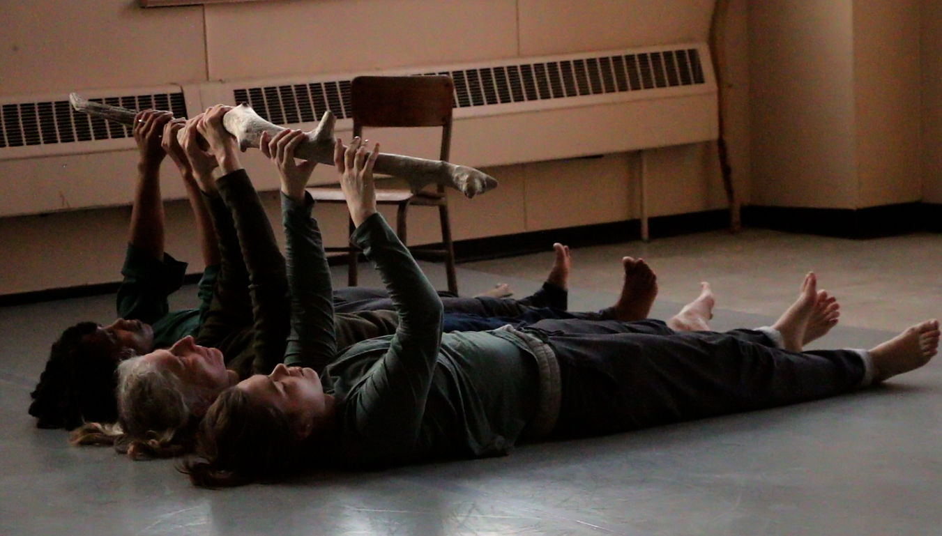 HOME | leahsteindanceco