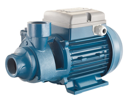 Peripheral Pump PE 50 BR (230V, 35m, 40l/min) for home | FORAS Pentax