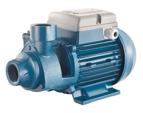 Peripheral Pump PE 100 (230V, 65 m, 50 l/min) for home | FORAS Pentax