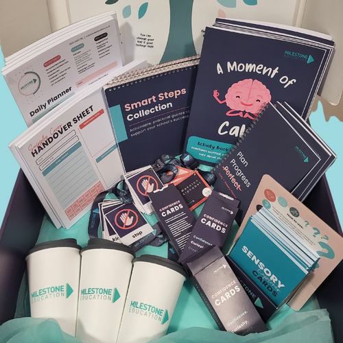 The Wellbeing Box (95 items) | Milestone Education