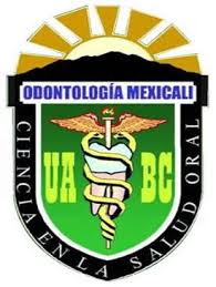 Home Dr Ortega D D S