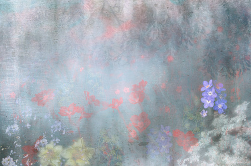 Primrose Mist | Pip Carlton-Barnes