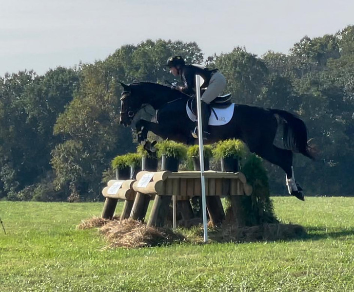 Syndication | Infinity Sport Horse