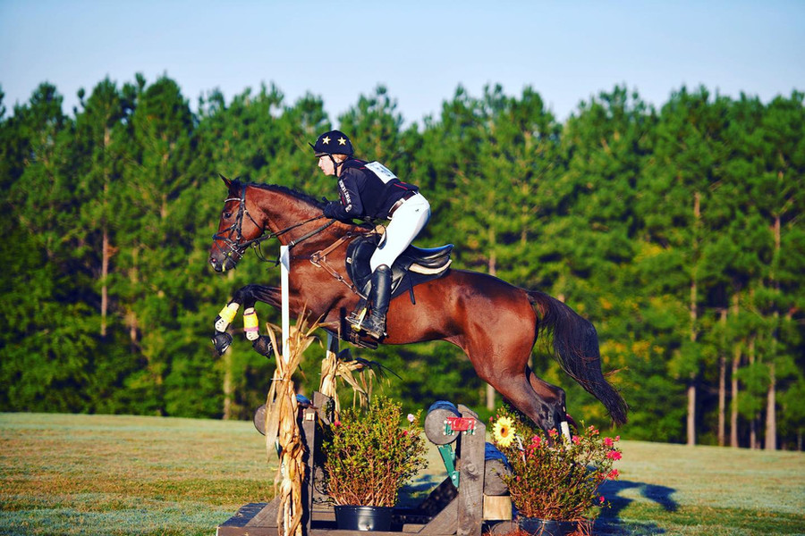 Syndication | Infinity Sport Horse