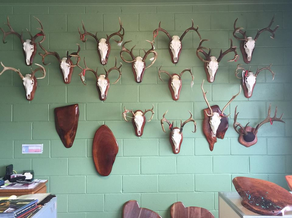 EURO MOUNTS | mysite