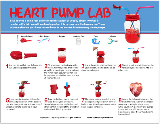 HeartPump | easypeasy-fair-page