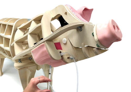 Pig Jugular Blood Sampling Kit | Holsim Veterinary