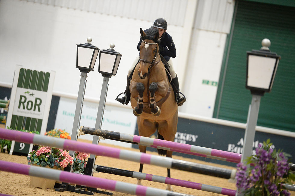 Our Horses | Church Farm Stables