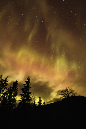 A Strange Aurora - V1, V2 & V3 | Family Photographer