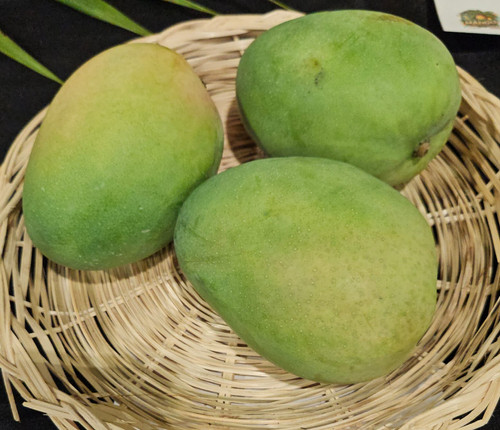 Edgar Mango | Happy Groves