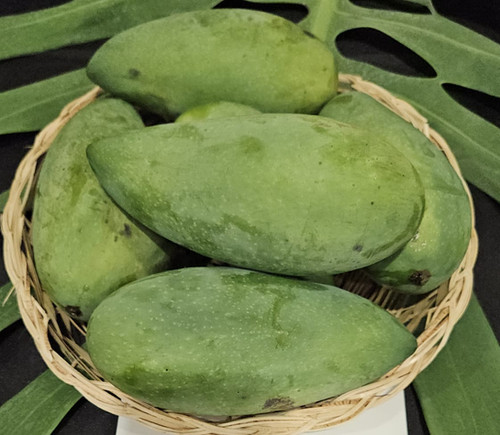 Falan Mango | Happy Groves