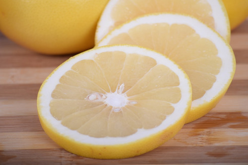 Duncan Grapefruit (Citrus × paradisi) | Happy Groves