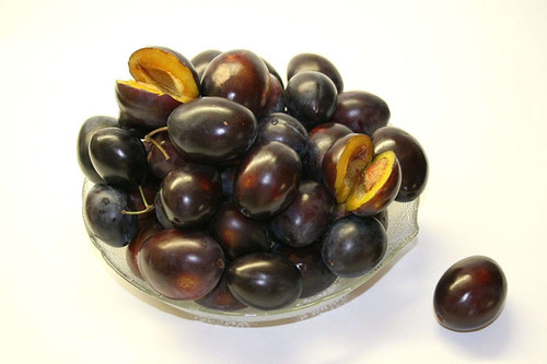 Java Plum (Syzygium cumini) | Happy Groves