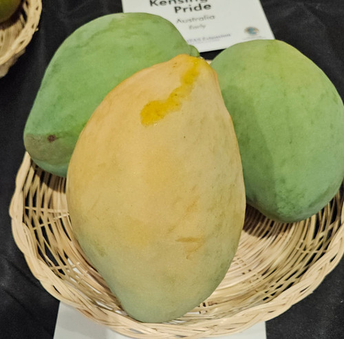 Karen Michelle Mango | Happy Groves