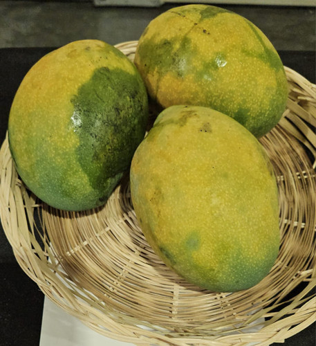 Sunrise Mango | Happy Groves