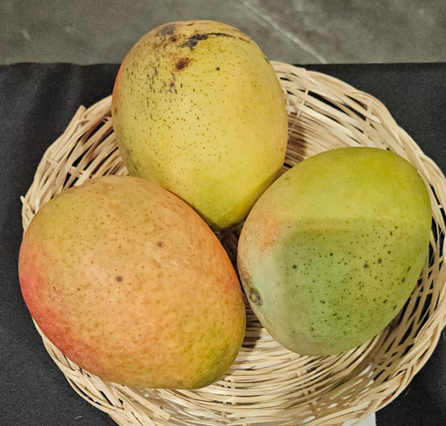 Cotton Candy Mango | Happy Groves