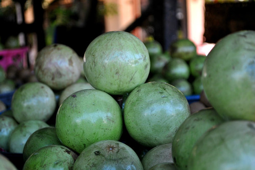 Green Caimito / Star Apple (Chrysophyllum cainito) | Happy Groves