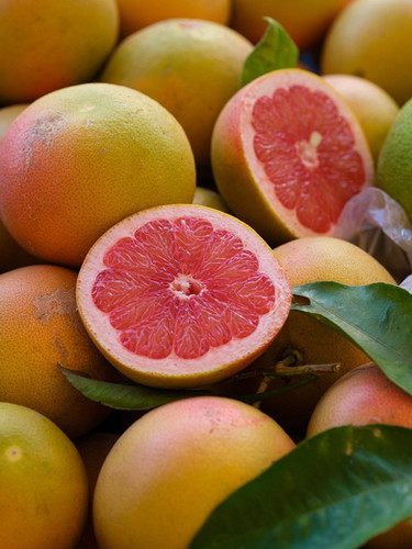 Ruby Red Grapefruit | Happy Groves