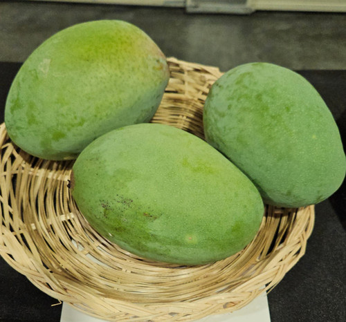 Sugar Loaf Mango (E-4) | Happy Groves