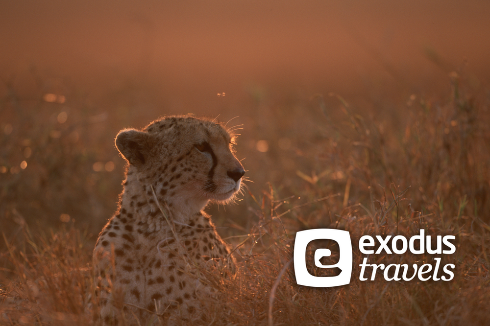 The best new adventure tours by Exodus Travels for 2020