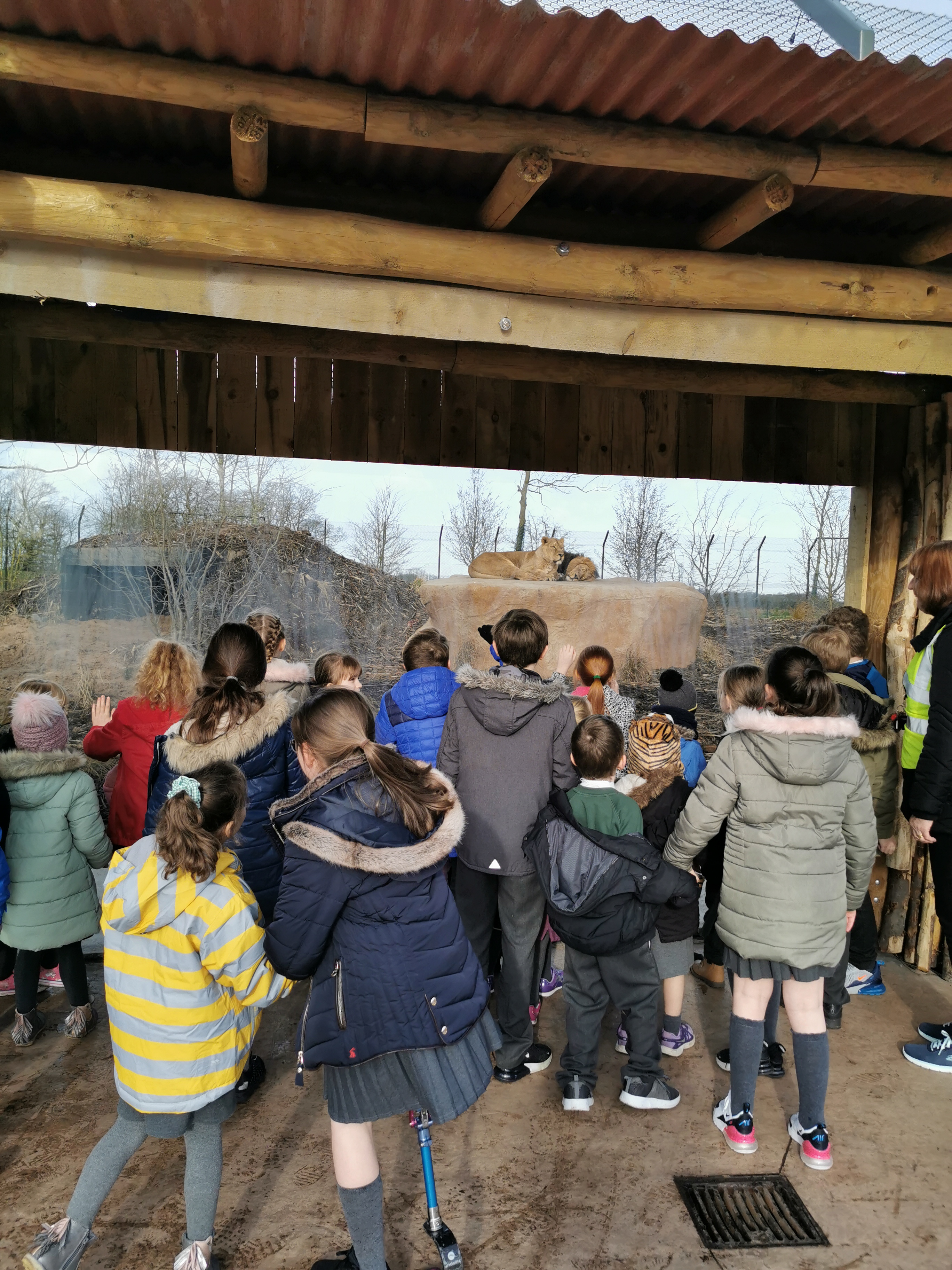 Pewithall Primary School Website