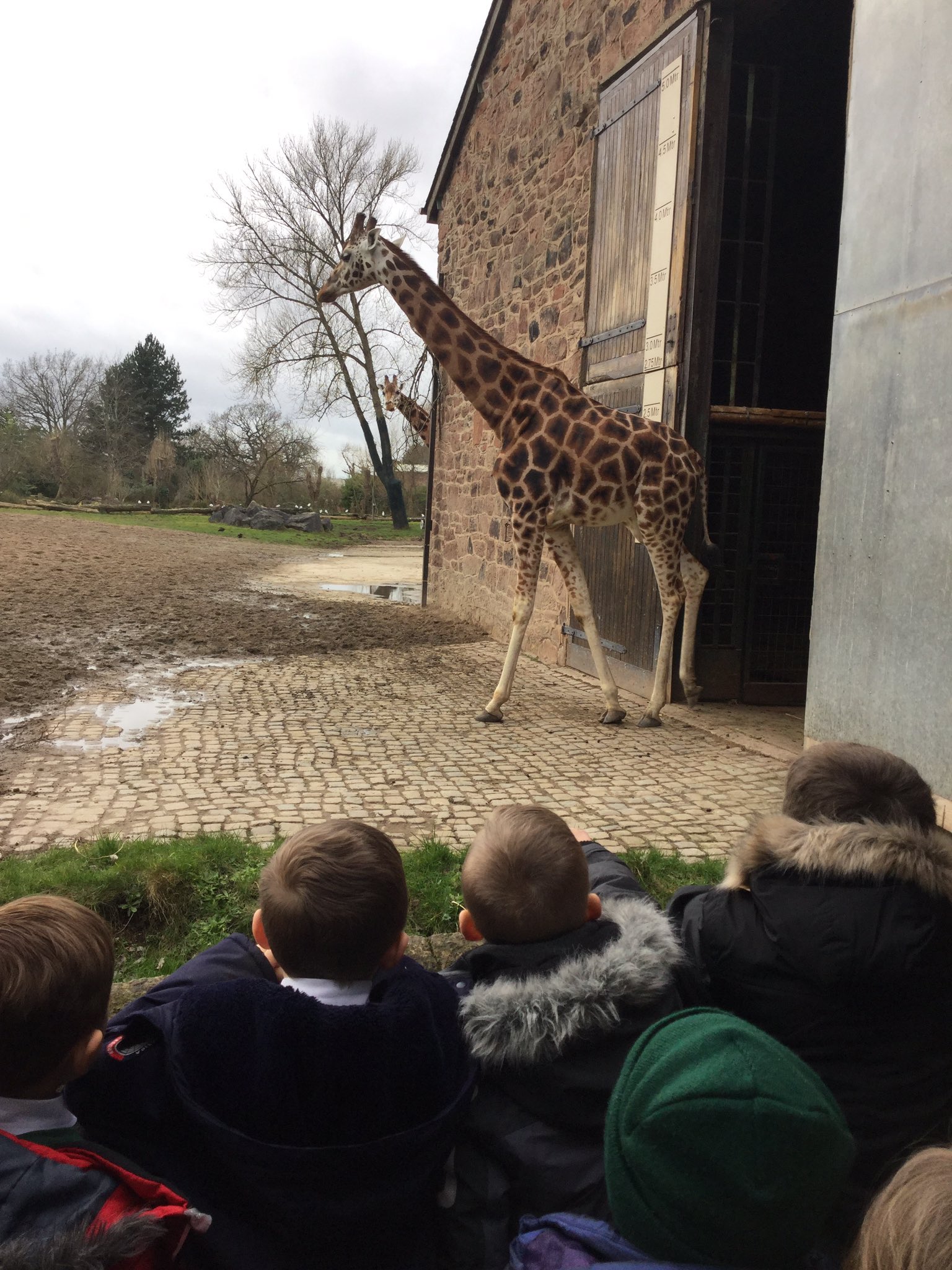 Pewithall Primary School Website