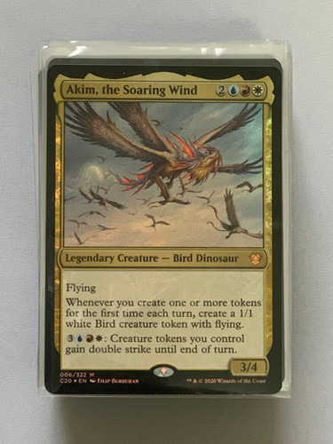 Akim, the Soaring Wind | MIDCARDS LTD