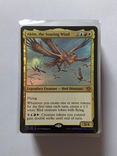 Akim, the Soaring Wind | MIDCARDS LTD