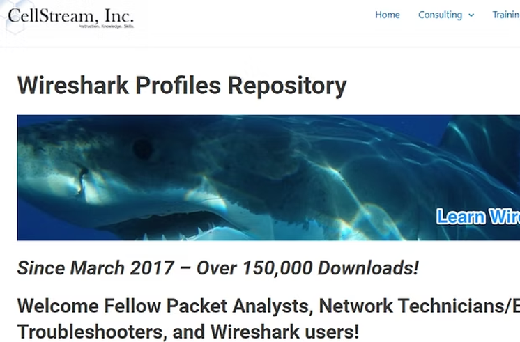 from the blog; Boost Your Packet Analysis with the CellStream Wireshark ...