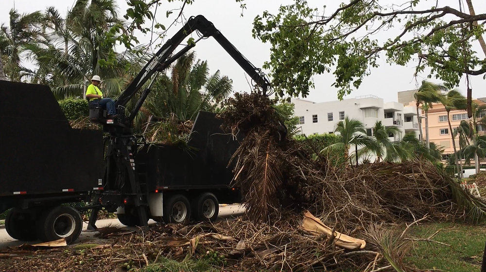 Logistics in Disaster Response and Recovery: Key Considerations