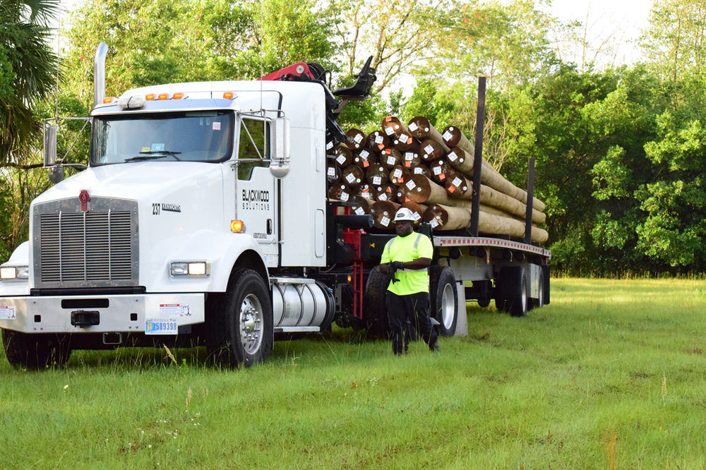 Steps for Replacing a Utility Pole