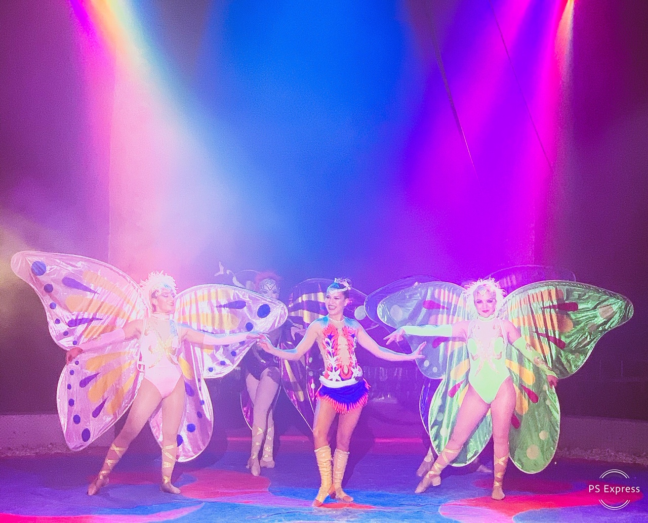 Circus Photos | Circussaurus