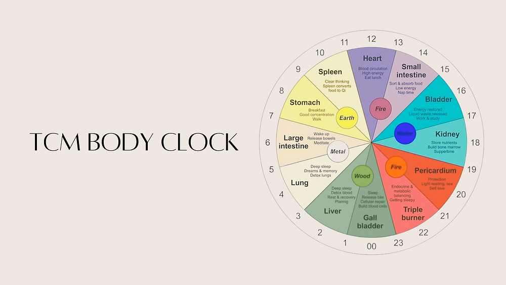 TCM Body Clock