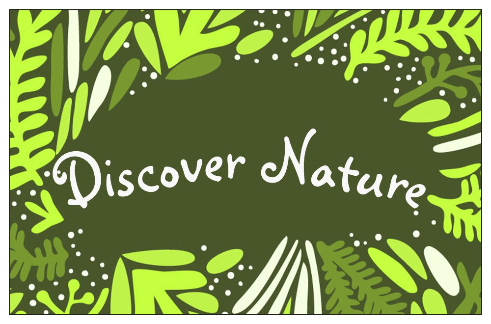 Nature | Discover Nature | Poole