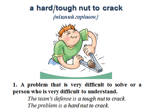 Idioms with the word “nut”
