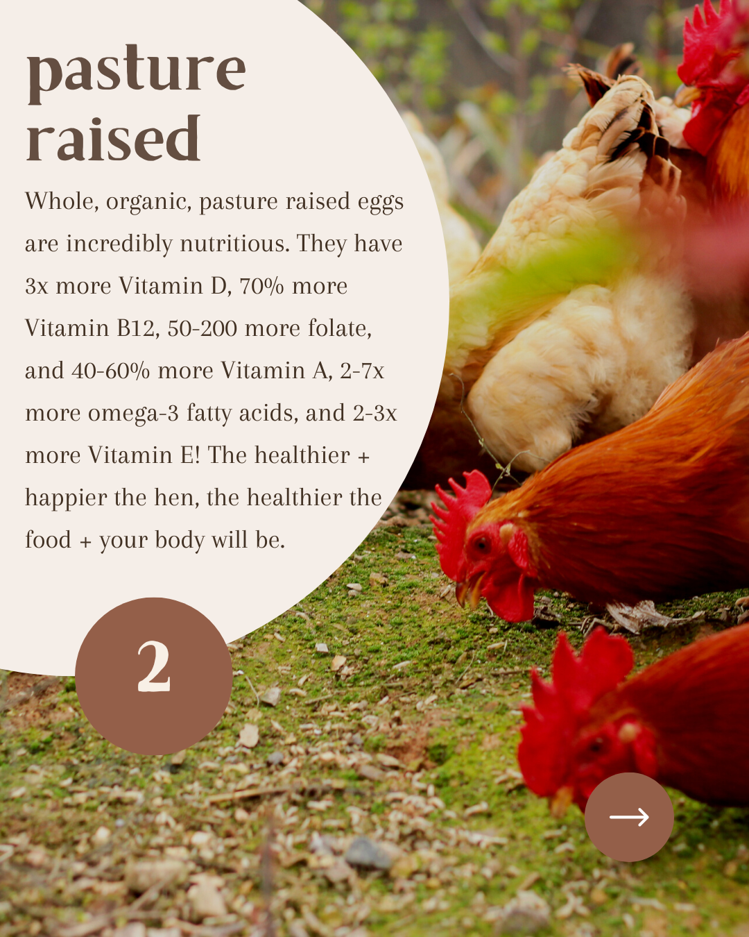 How to Decode Egg Labels