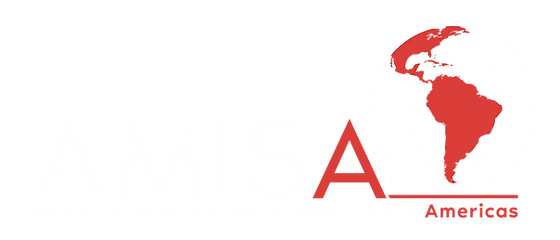 Amisa Logo