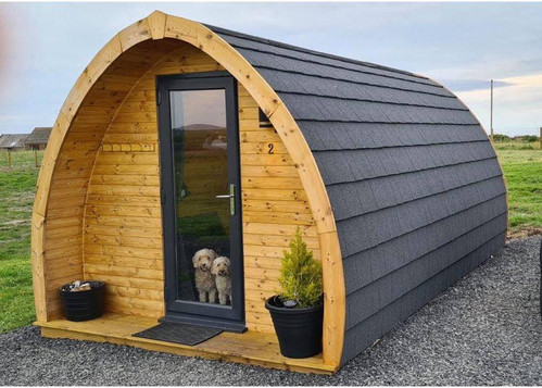Dog | North Point Pods