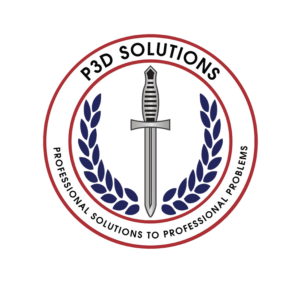 The History of P3D Solutions