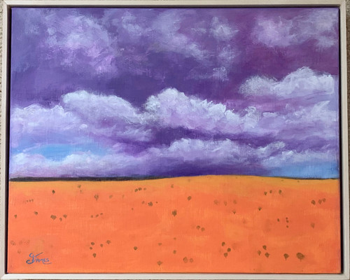 Irena Annandale-James Outback Storm | artwestgallery