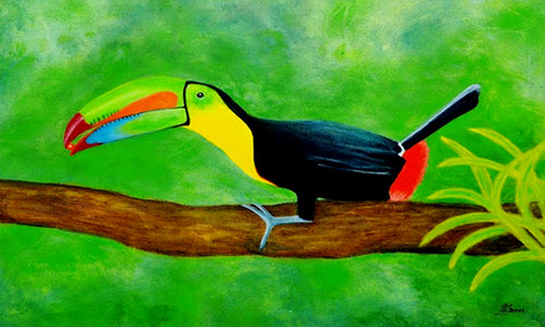 "Toucan Can" Irena A James | artwestgallery