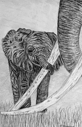 Pat Hunter Baby Elephant | artwestgallery